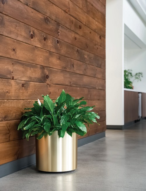 Interiorscape Planter Selections - ContainerGuide.com – Page 12