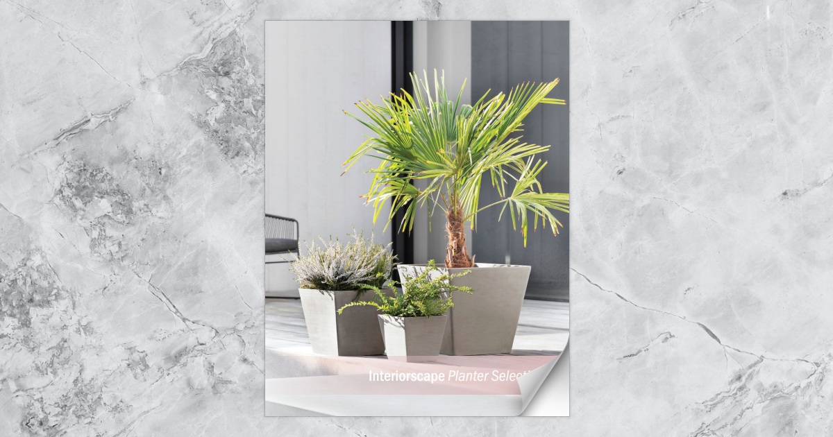 Interiorscape Planter Selections - ContainerGuide.com